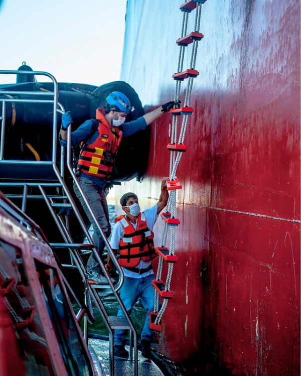 Pilot and Embarkation Ladders: Safety and Reliability for Critical ...